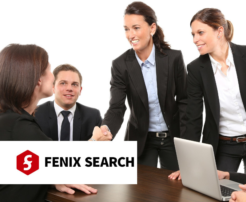 Reference marketingových služeb pro Fenix Search